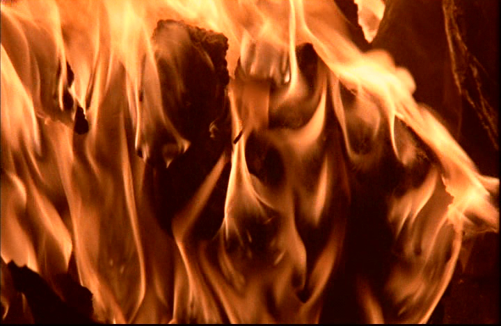 The Terminator (1984) T-800 Images | TheTerminatorFans.com