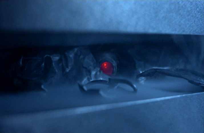 The Terminator (1984) T-800 Images | TheTerminatorFans.com