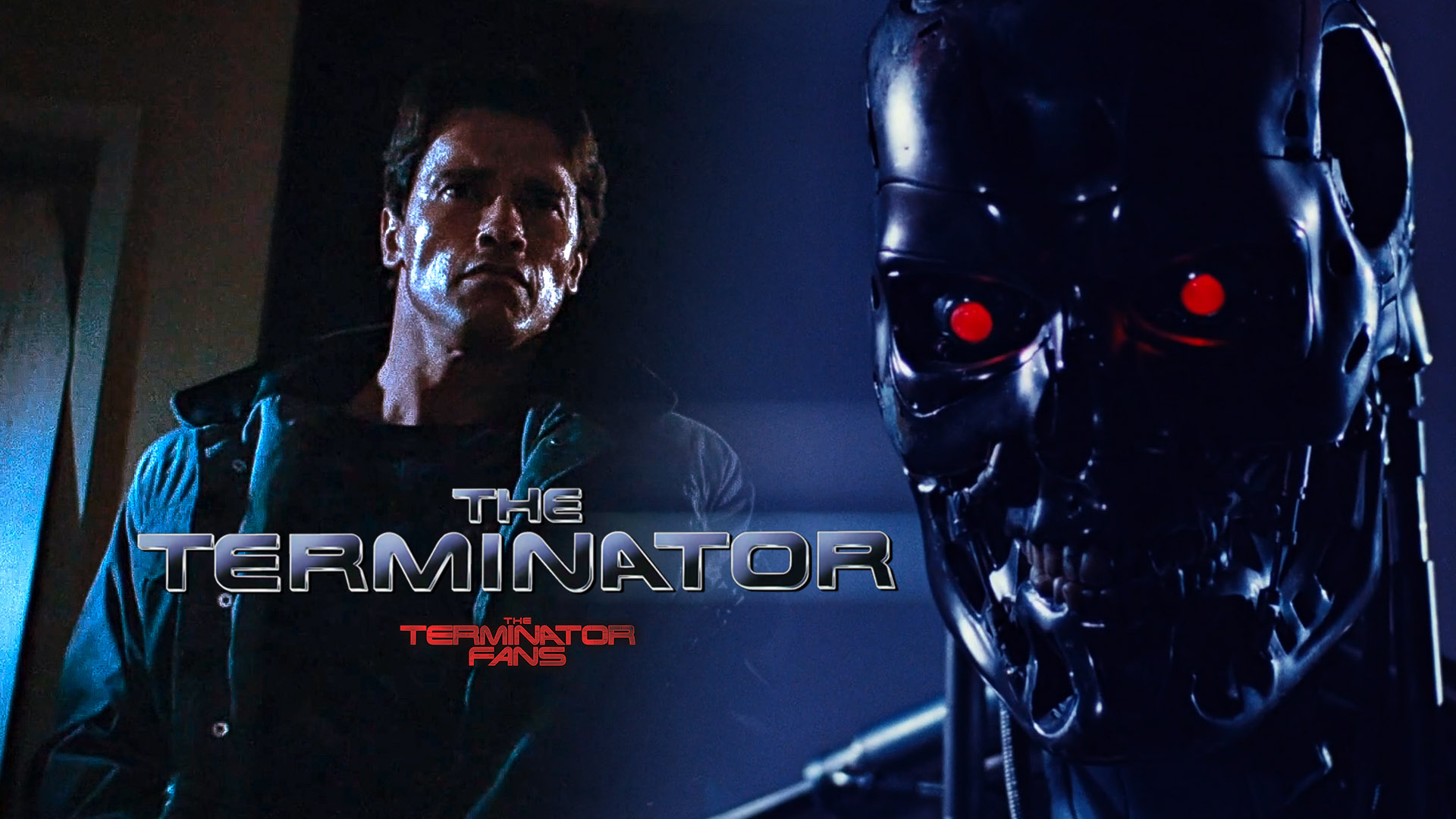 The Terminator Arnold